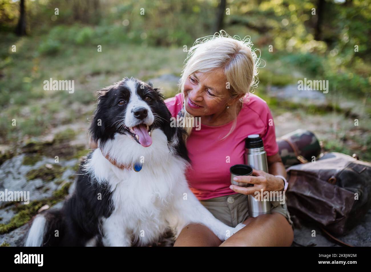 Senior woman having break during walking her dog in forest Stock Photo ...