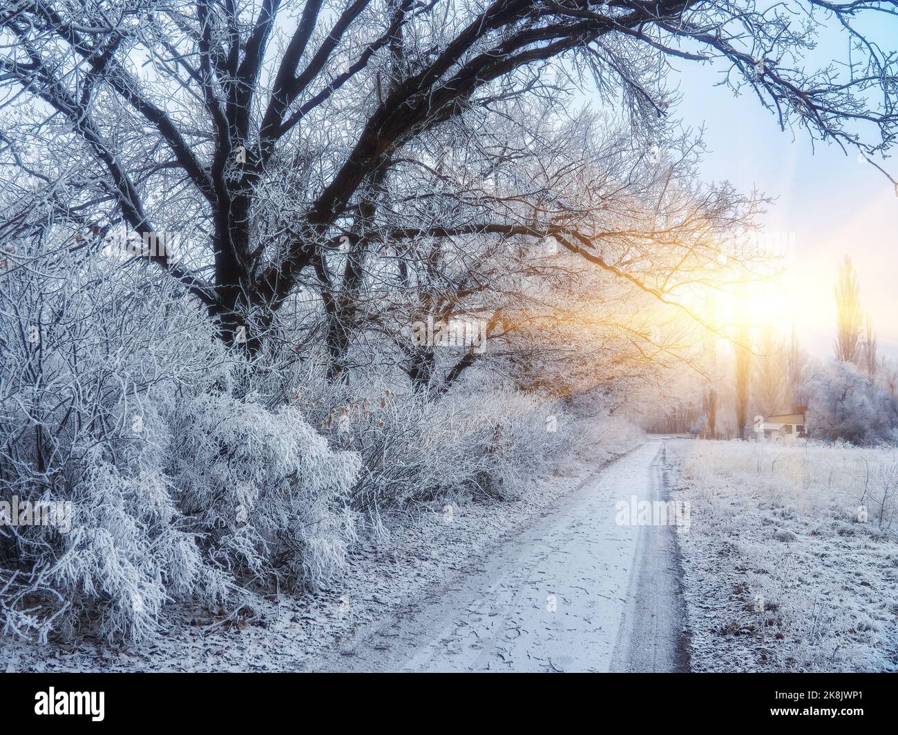 Beautiful winter park with sunset colors sky and trees Stock Photo - Alamy