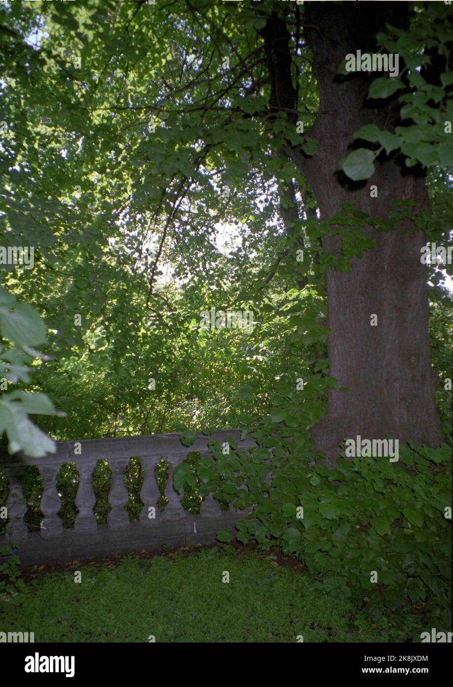 Oslo June 1988 Langgaardsløkken is an old loop garden at Briskeby in ...