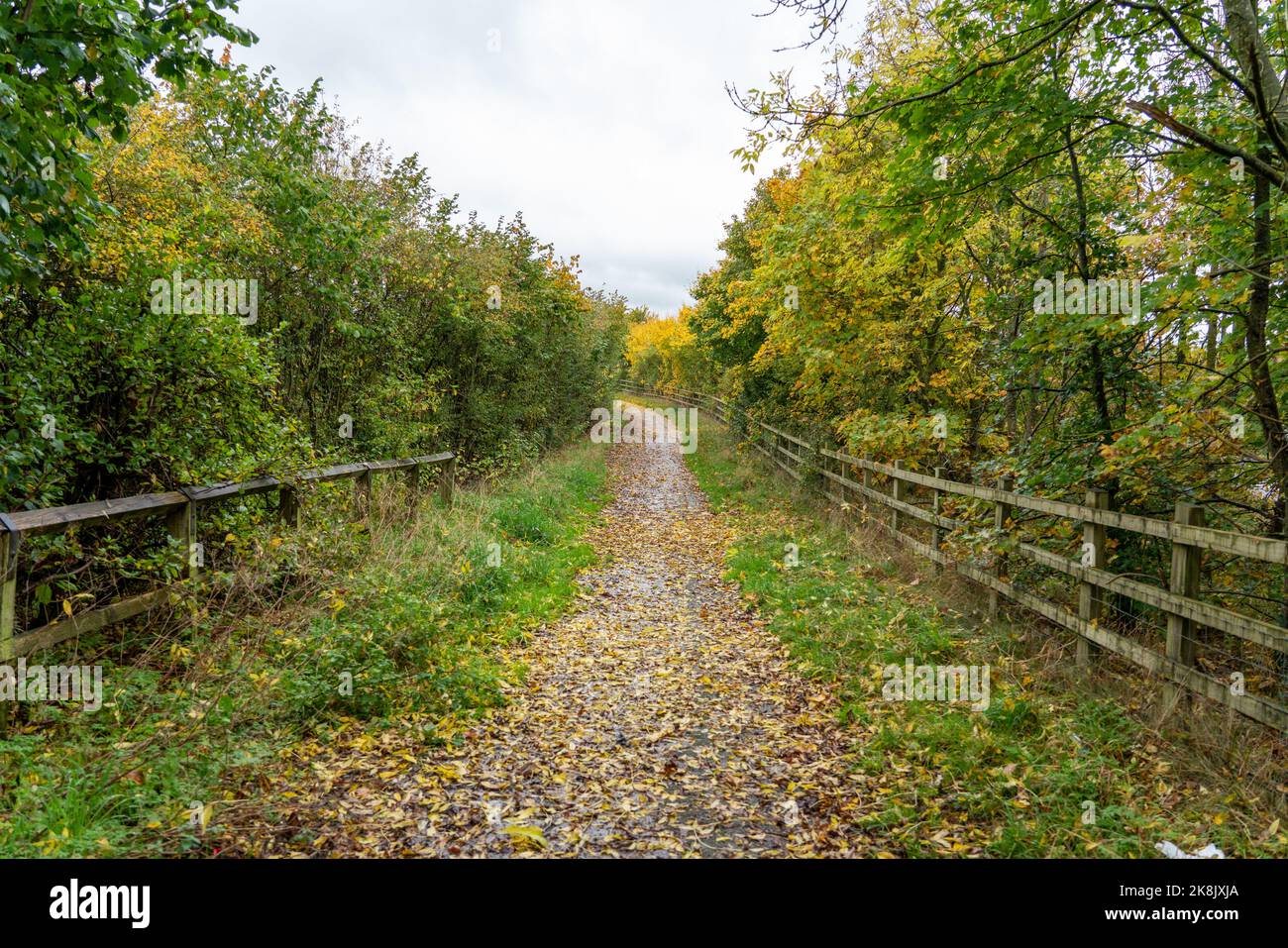 Autumn pathway in October.Mghull.Merseyside Stock Photo - Alamy