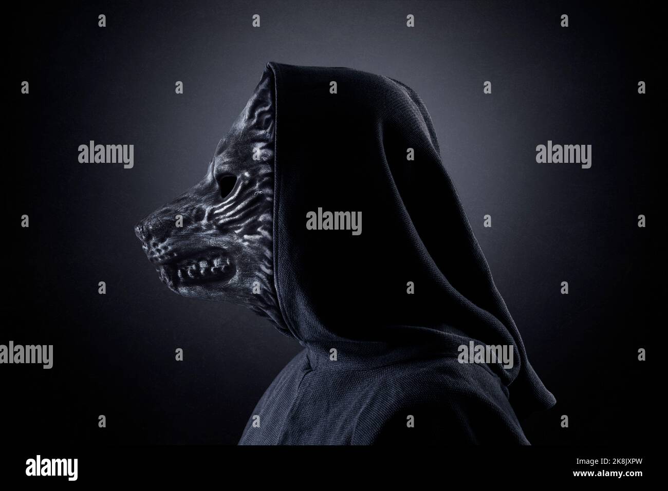 Wolf in hooded cloak at night over dark misty background Stock Photo ...