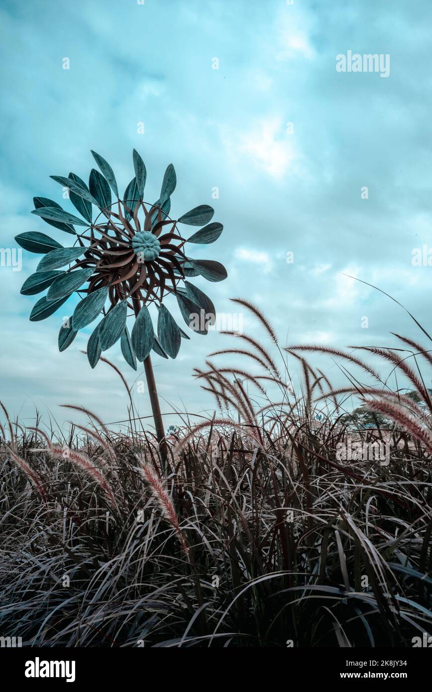 The vertical close-up view of a blue ornamental flower in a field under ...