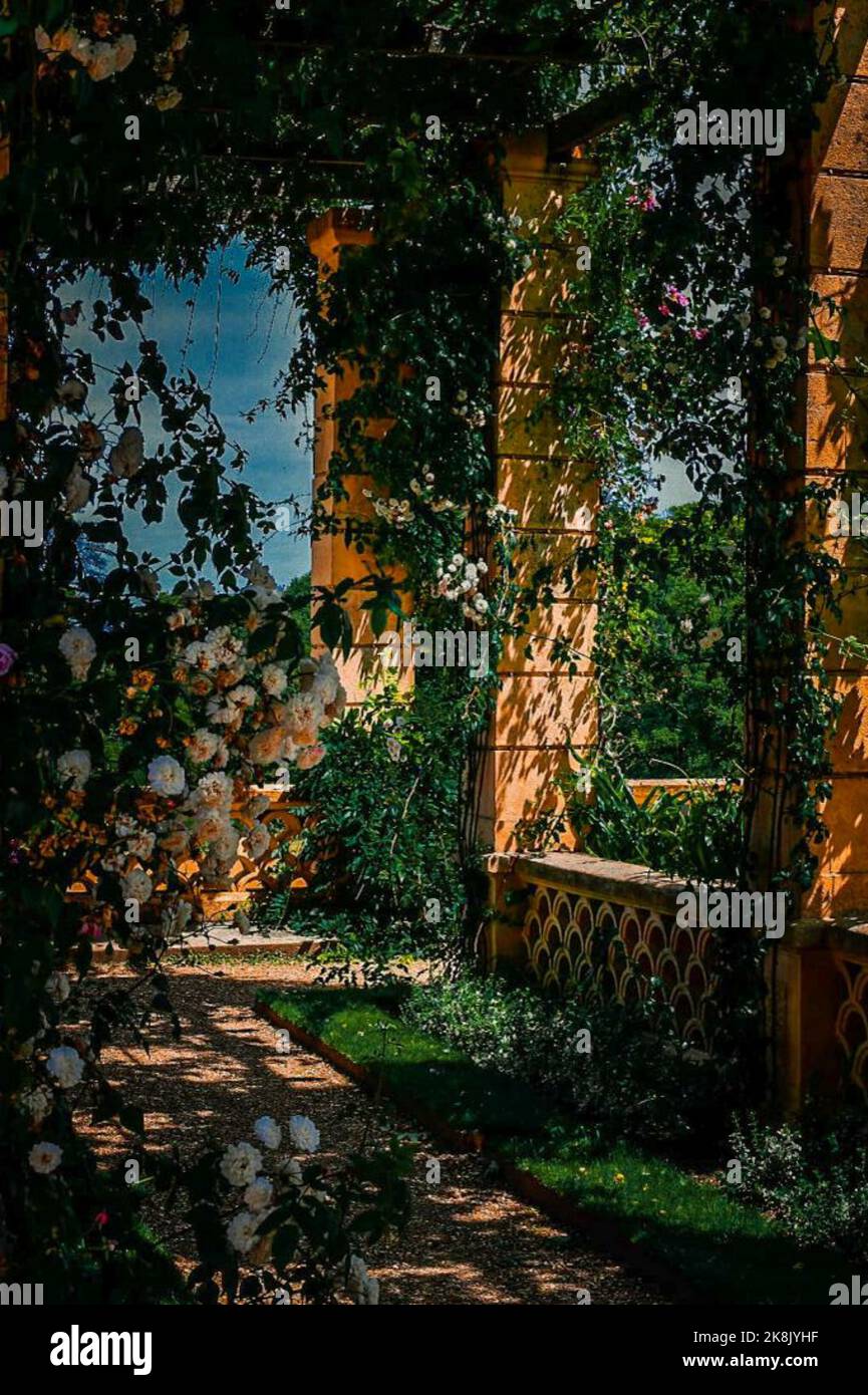 A vertical shot of a courtyard covered in ivy in Queen Victoria's ...