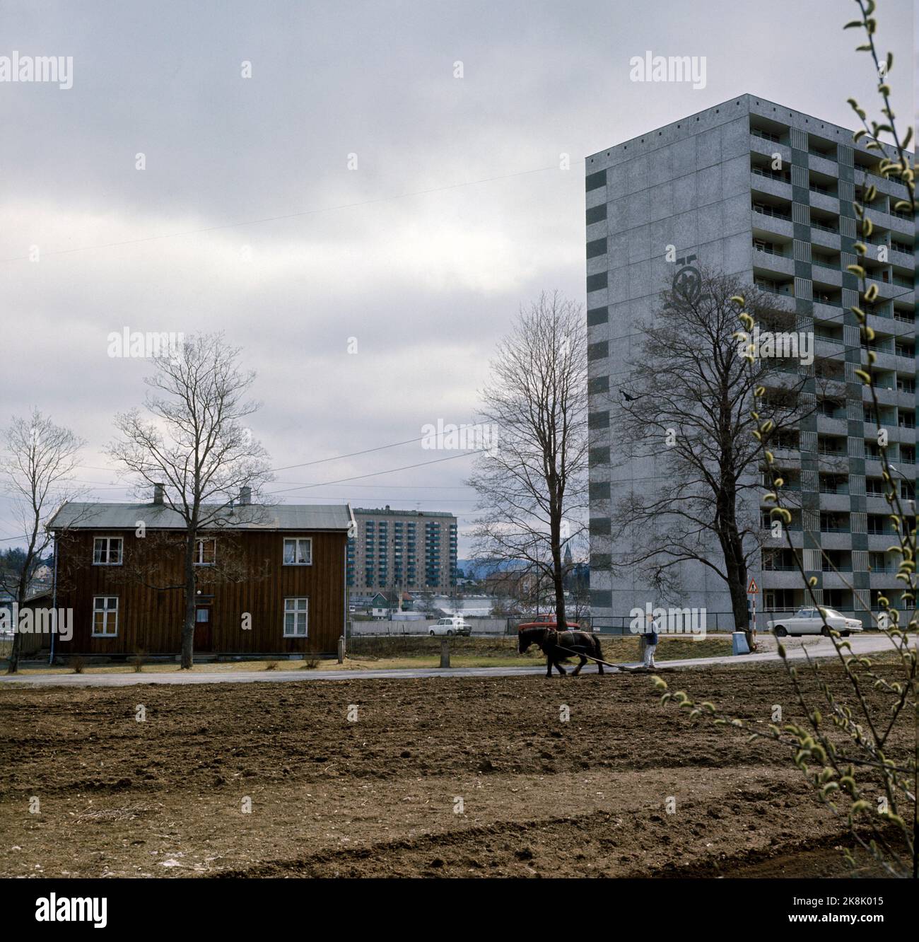 Ammerud, Oslo 1977. Spring. Plowing of horses and plows. The drab town ...