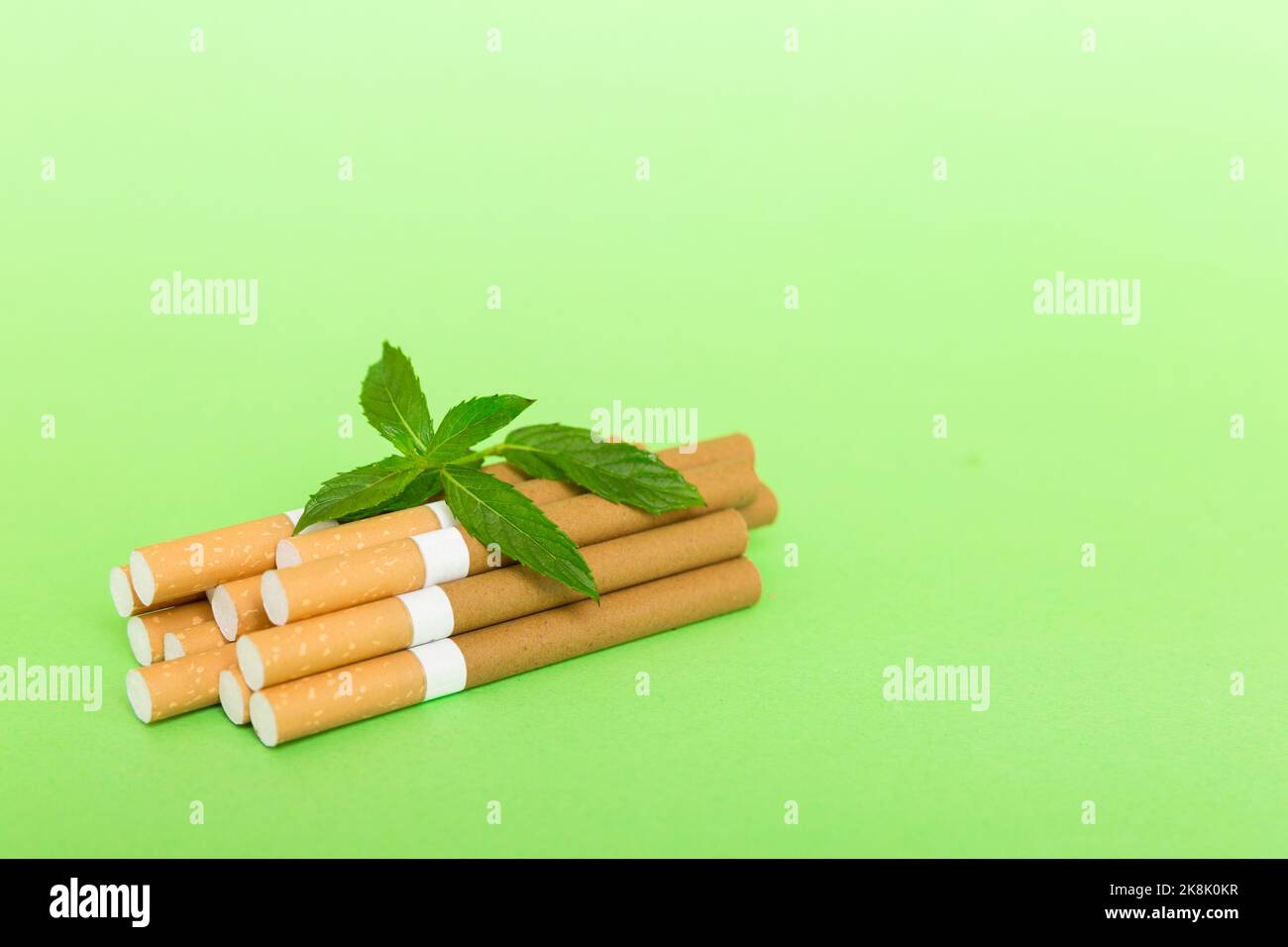 Menthol cigarettes and fresh mint leaves on colored background, Many ...