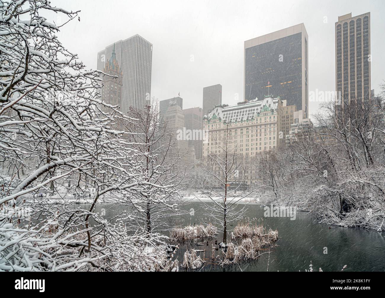 Central Park in winter after snow storm in winter Stock Photo - Alamy
