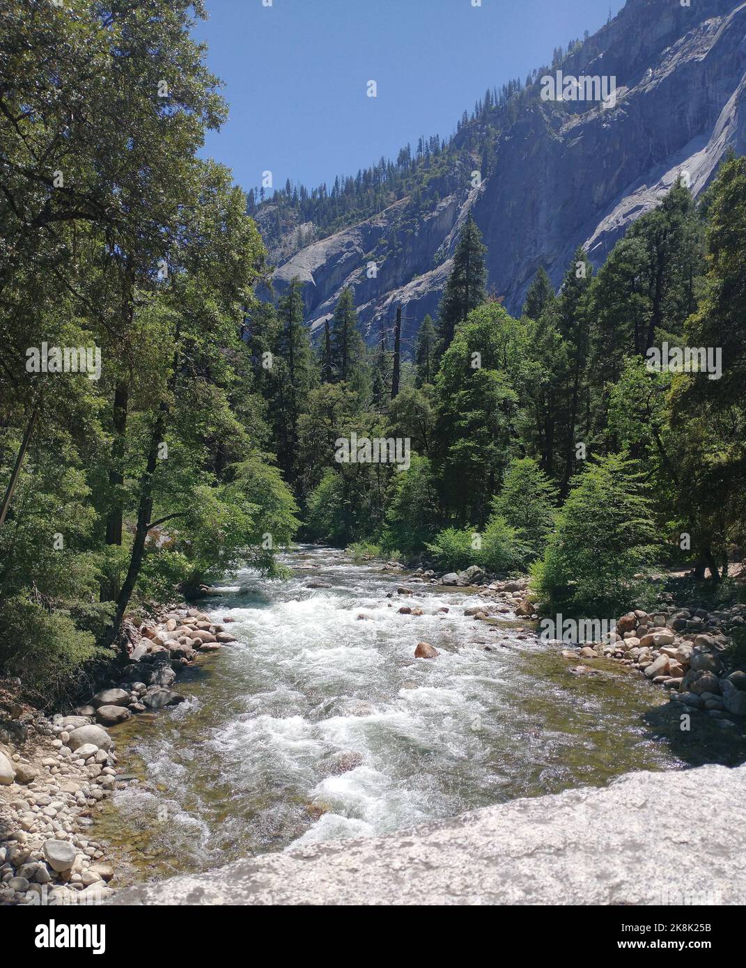 A vertical shot of the Tuolumne River in Yosemite National Park reveals ...