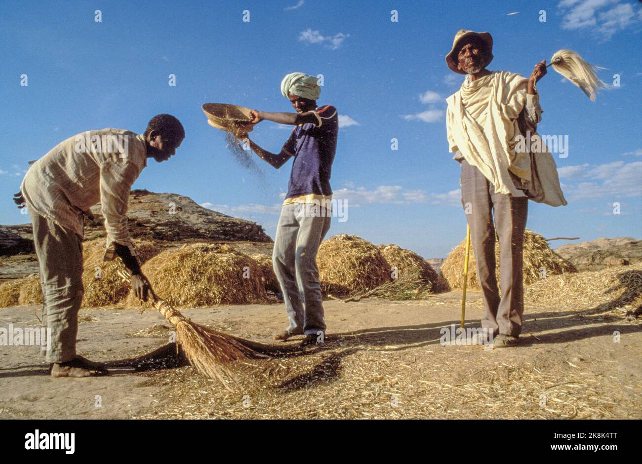 Ethiopia, Addis Abeba region; Men winnowing grain Stock Photo - Alamy