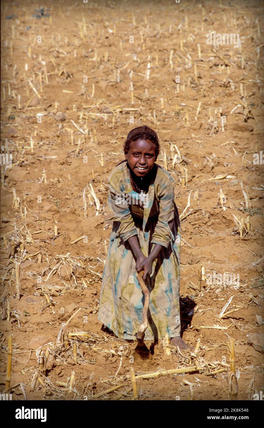 Ethiopia, Mekele - Girl plowing and cultivating the soil to make it ...