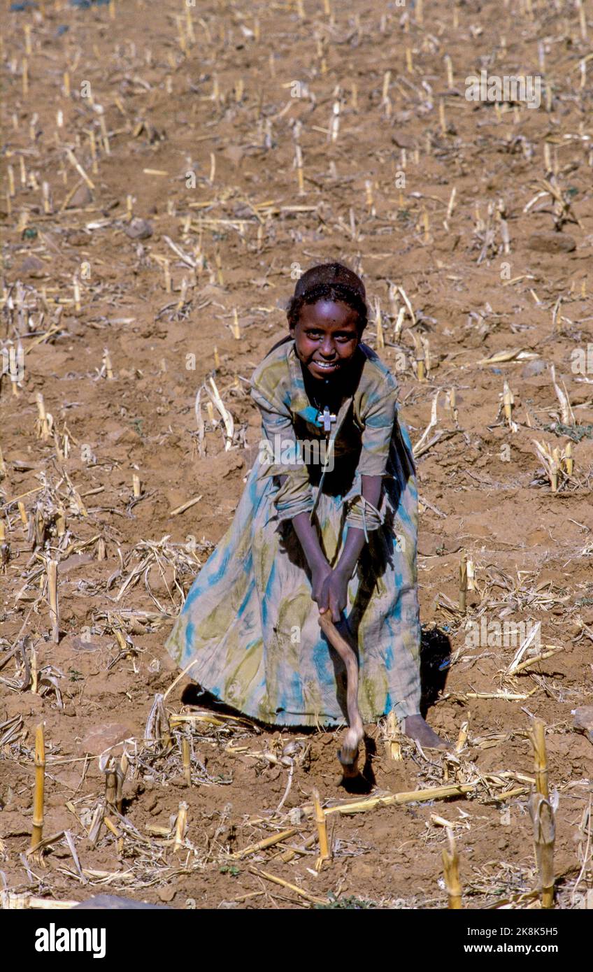 Ethiopia, Mekele - Girl plowing and cultivating the soil to make it ...