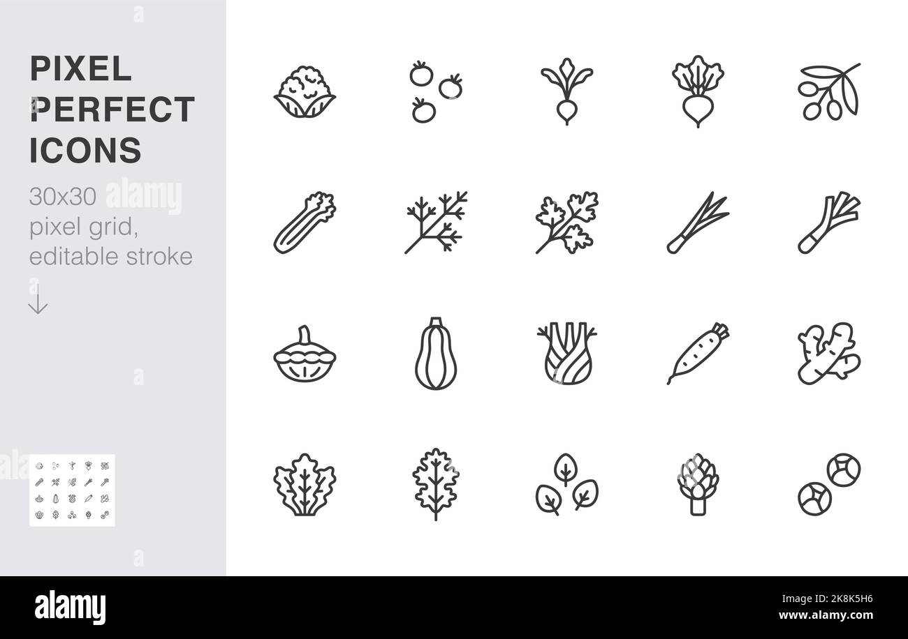 Vegetables line icon set. Kale, spinach, pumpkin, cherry tomato, cauliflower, beetroot, daikon ...