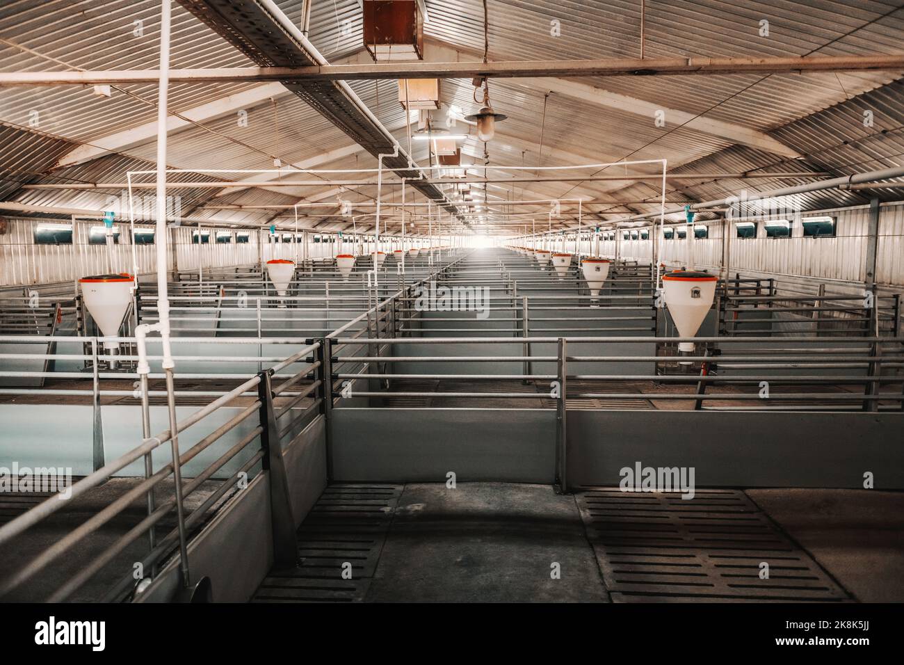 Picture of clean empty pig stall Stock Photo - Alamy