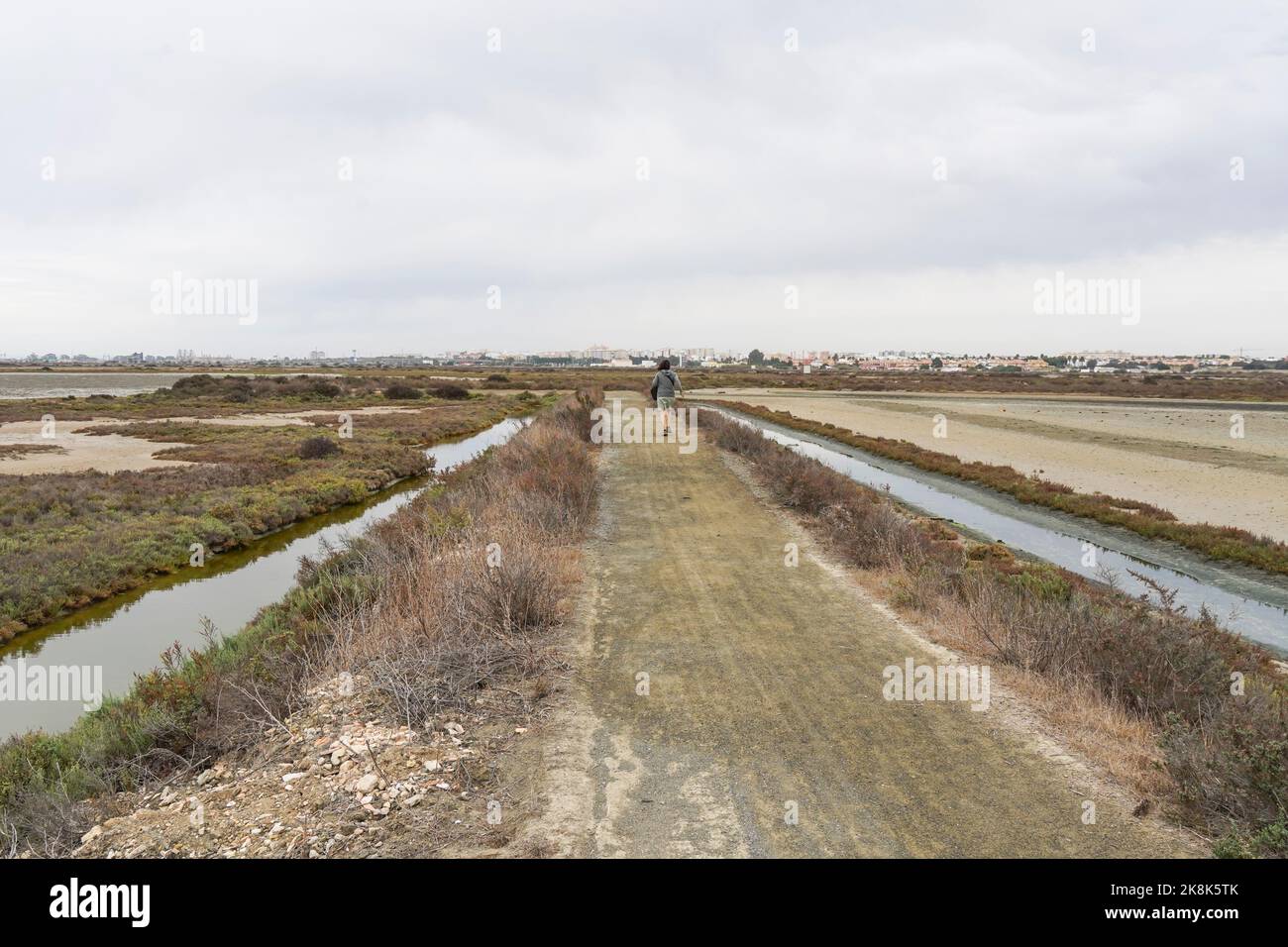Bay of Cádiz Natural Park (Parque Natural Bahía de Cádiz) with salt ...