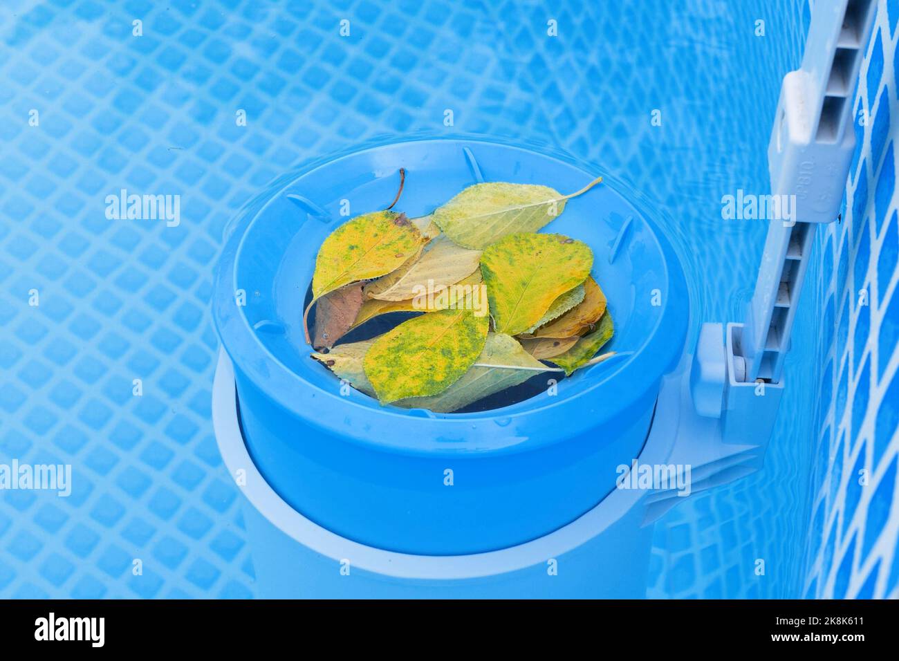Top view of the blue skimmer for cleaning the pool in clear water ...