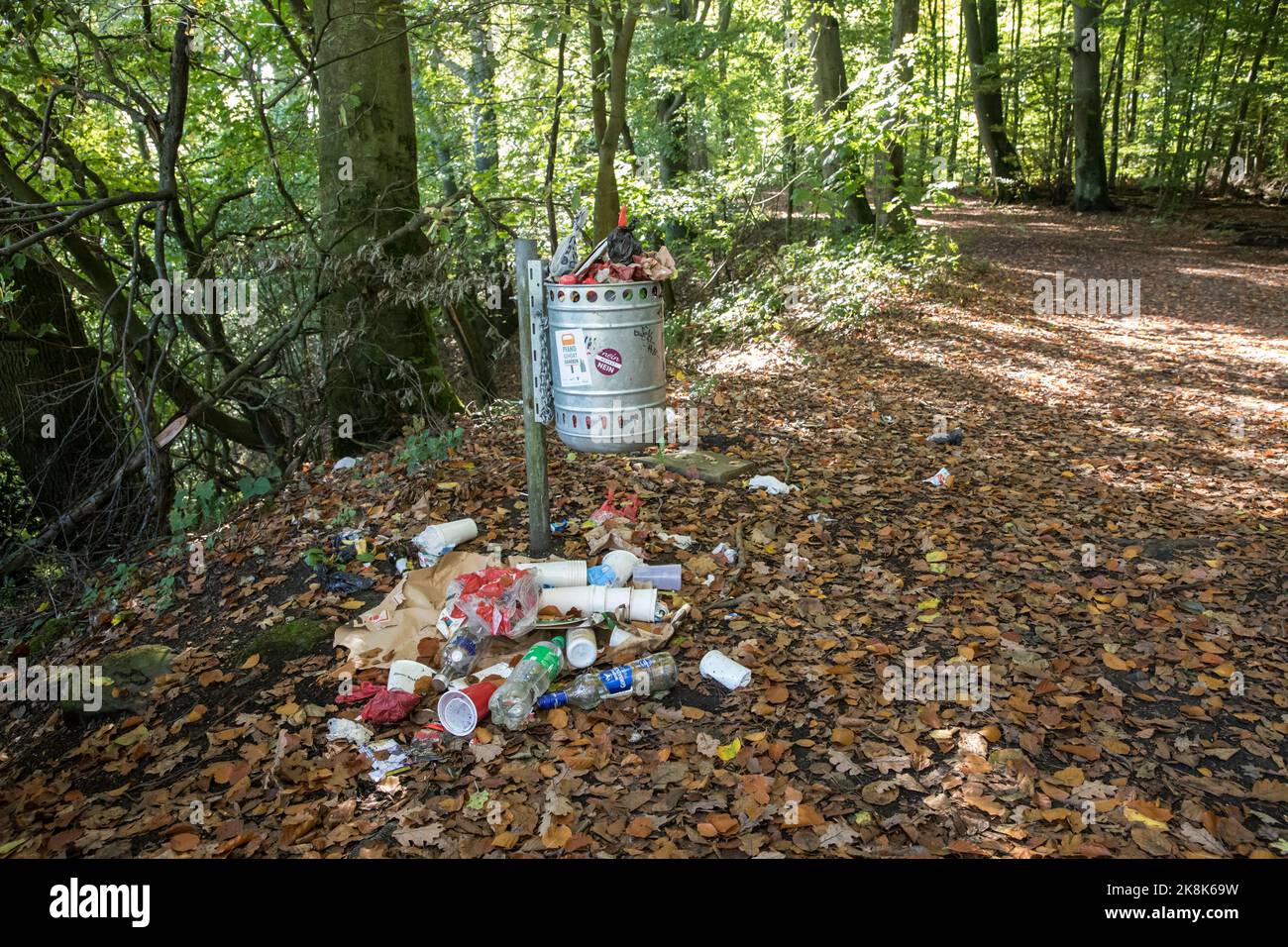 litter on an overflowing trash can in the forest at the Ruhrhoehenweg ...