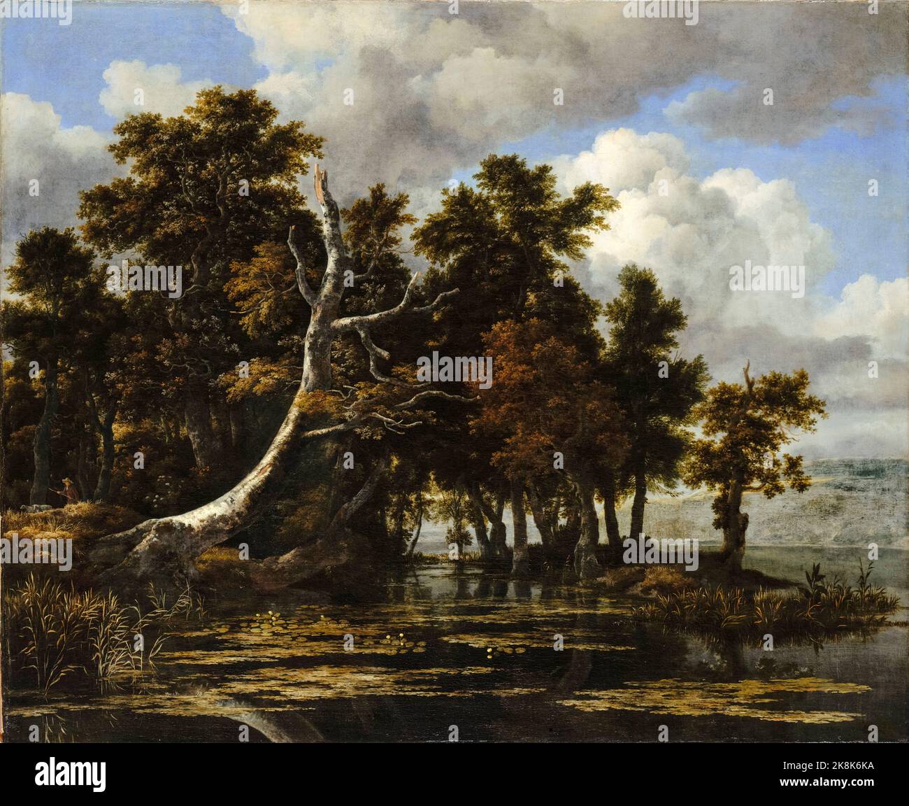 Jacob van Ruisdael, Oaks at a lake with Water Lilies, landscape ...