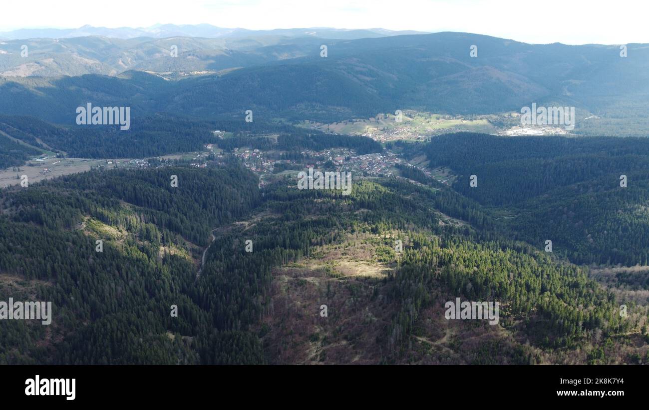 An aerial shot of a forest surrounding a town with sunlight Stock Photo ...