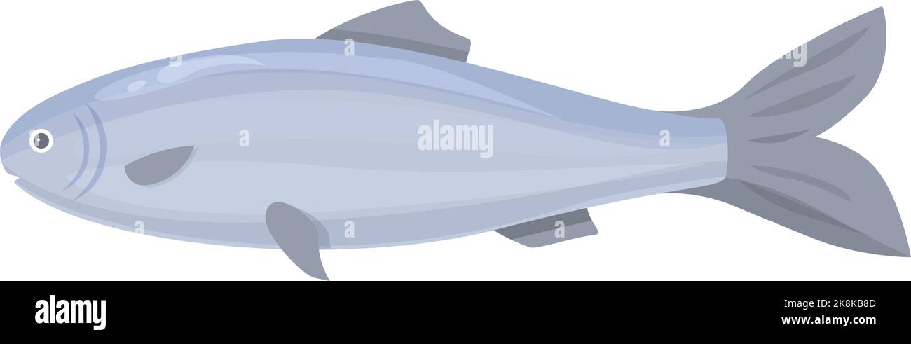 Baltic herring icon cartoon vector. Sea fish. Store seafood Stock ...