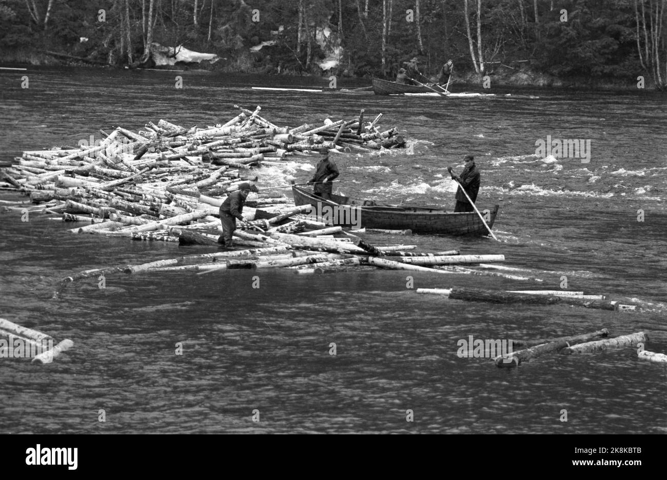Trysil / Engerdal 197206. Timber flight in the Trysilelva. A boat layer ...