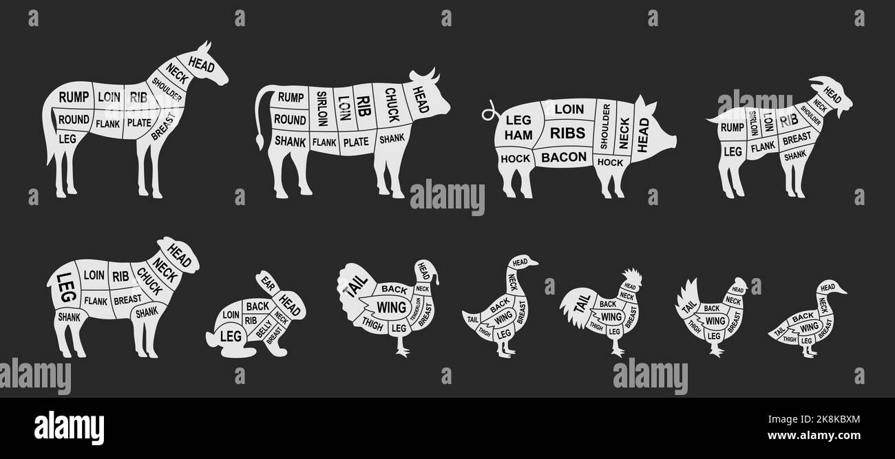Farm animals scheme cuts set. Pig, Horse, Turkey, Goat, Sheep, Chicken ...