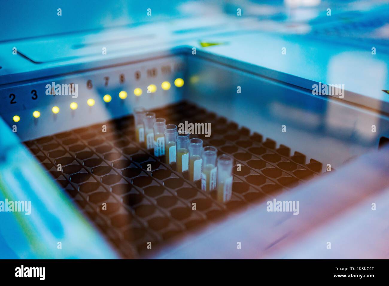 Biochemistry and microbiology. Close up of test tubes with blood in the ...