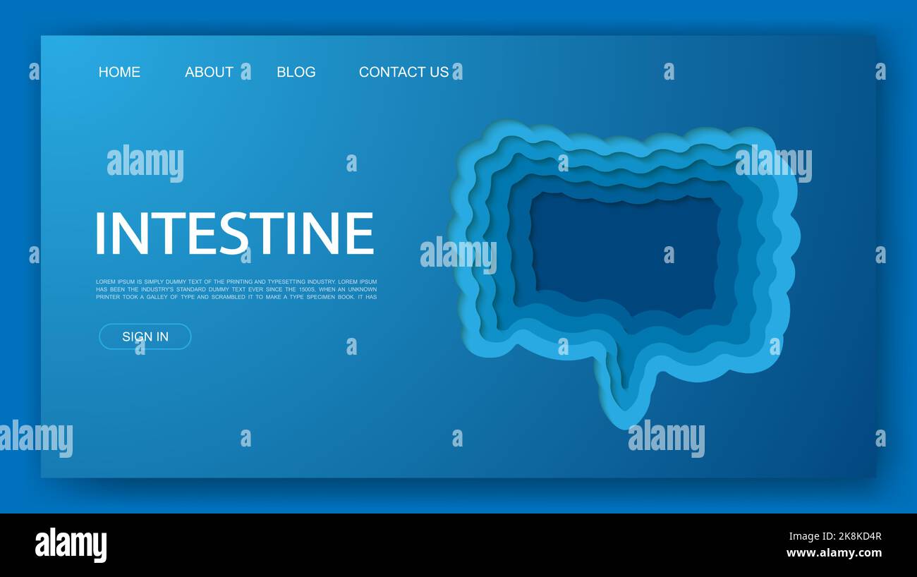 Intestine 3d paper cut website template. Small and large intestine ...