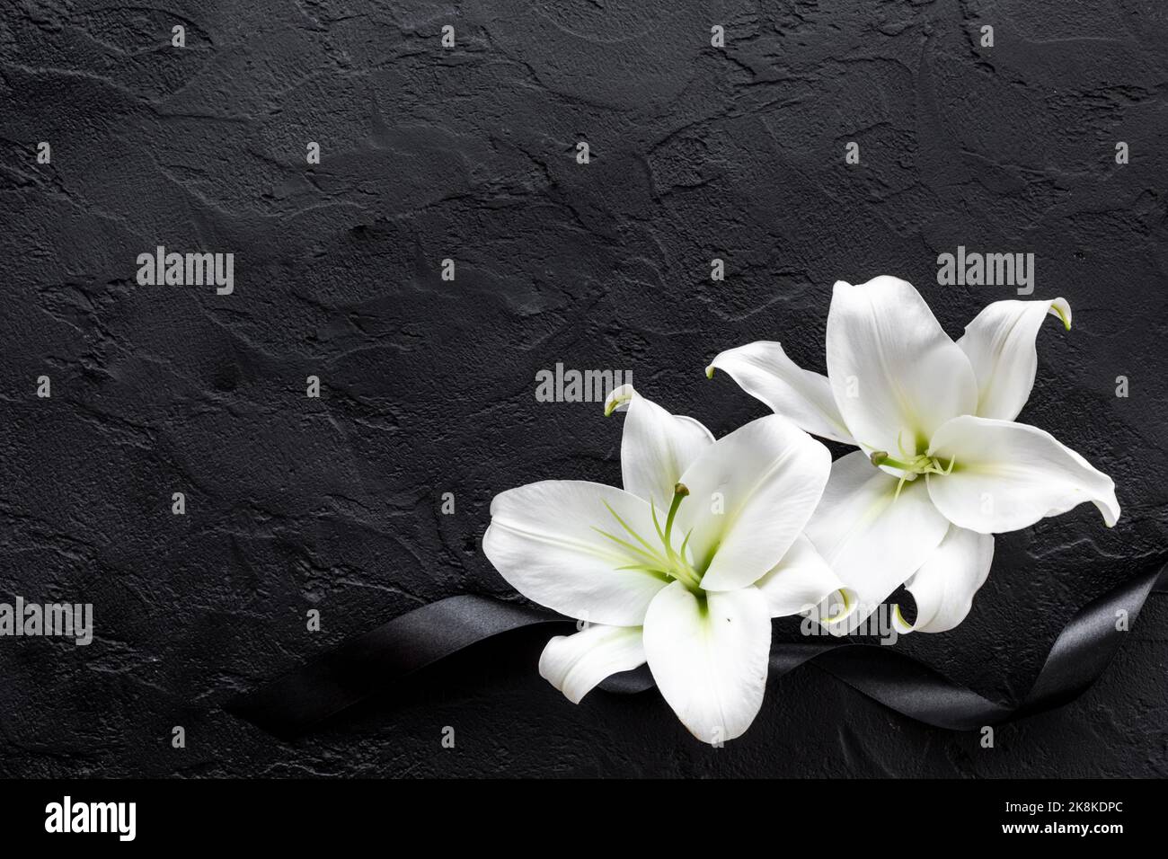 Mourning or funeral concept with white liles and black ribbon Stock ...