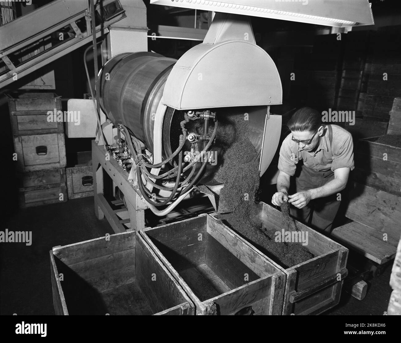 19550305 - J. L. Tiedemann's Tobacco Factory. Roy Hermansen looks ...