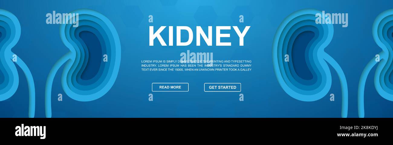 Kidneys paper cut symbol for promotion banner. Horizontal paper cut ...