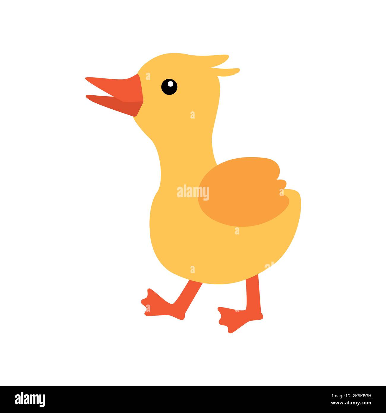 Cartoon illustration. Duckling is an animal and a family duckling Stock ...