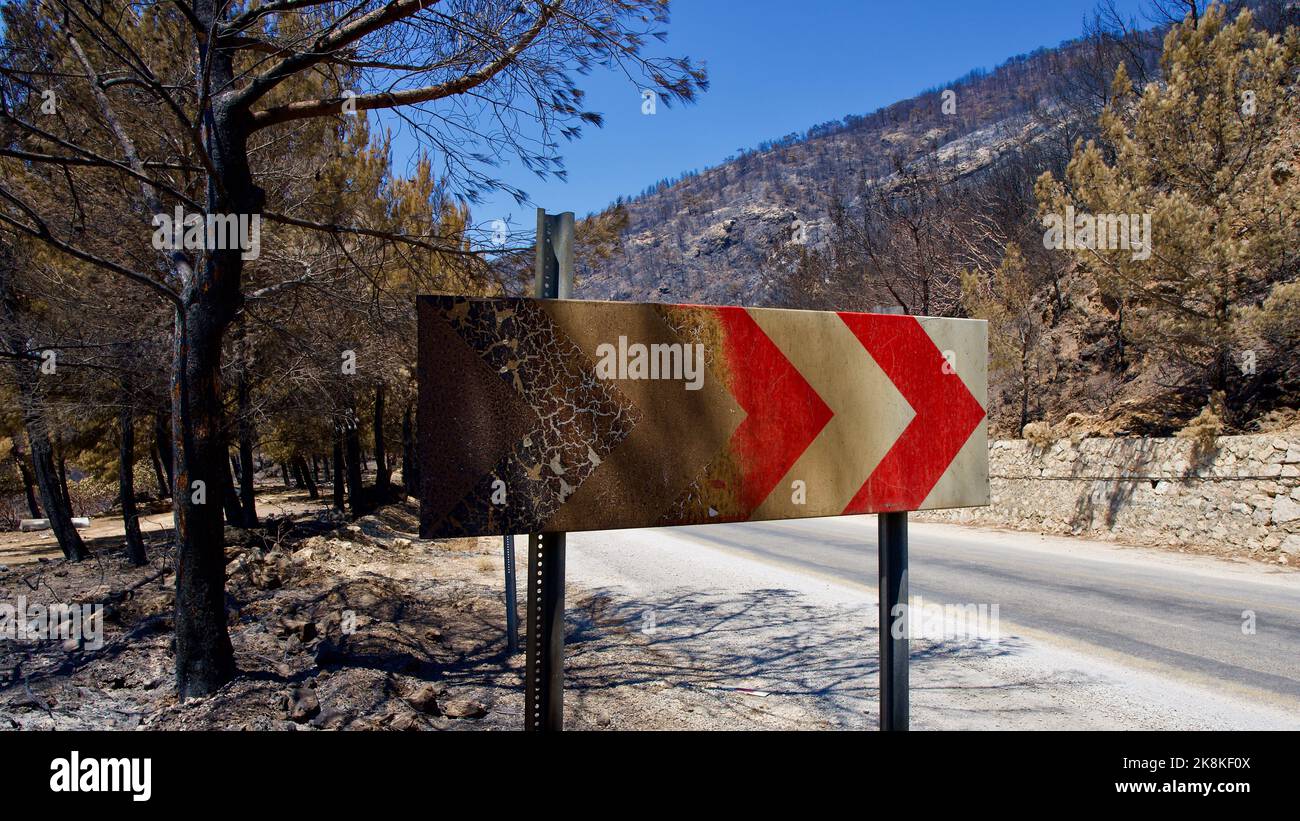 Vegetation and trees that turned to ash after the forest fire in Mugla ...