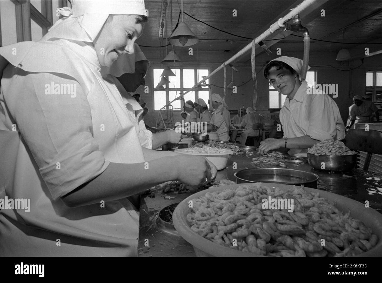 Svanhild hi-res stock photography and images - Alamy
