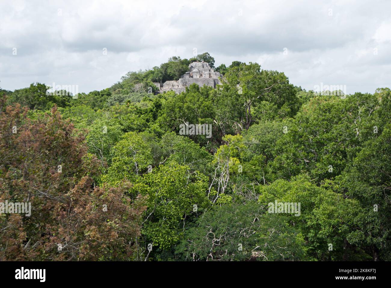 View of Calakmul, a Maya archeological site deep in the jungles of the ...