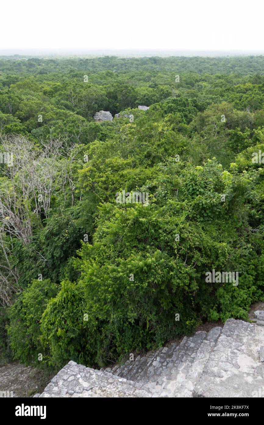 Calakmul, a Maya archaeological site deep in the jungle of the Mexican ...