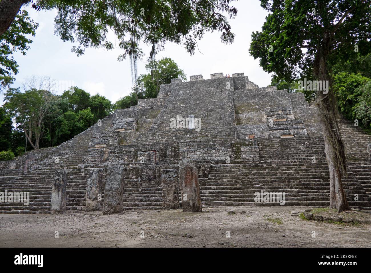 View of Calakmul, a Maya archaeological site deep in the forest of the ...