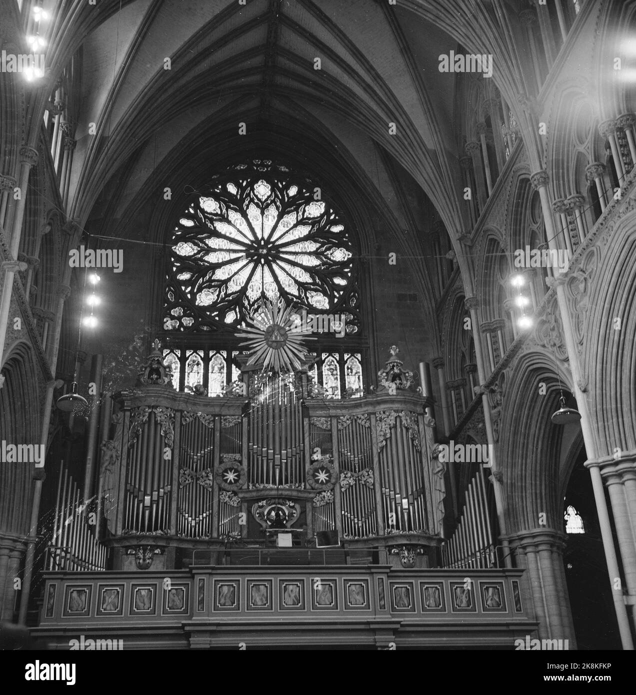 Nidaros cathedral the organ the church organ organel interior photo hi ...