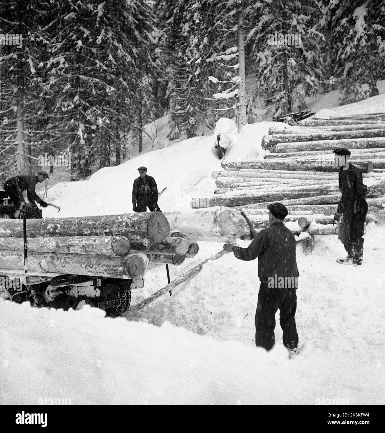 Sørkedalen in the winter of 1948. After the worst drought summer in man ...