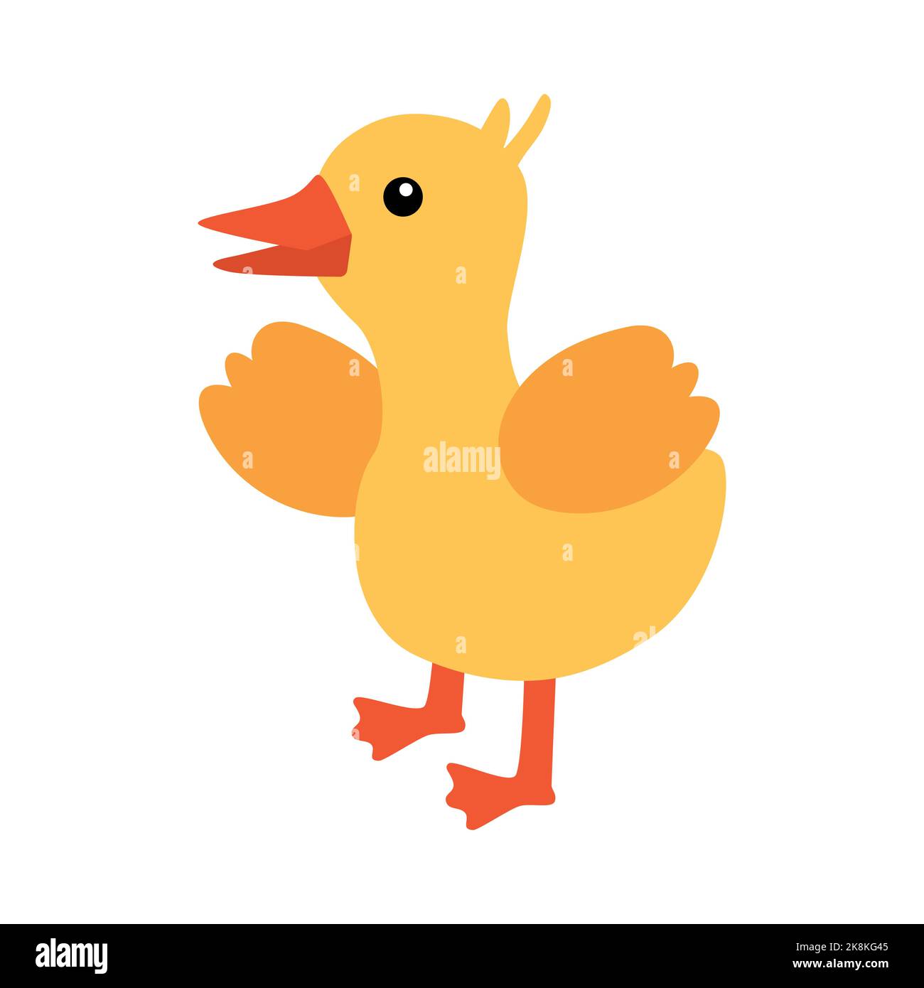 Cartoon illustration. Duckling is an animal and a family duckling Stock ...