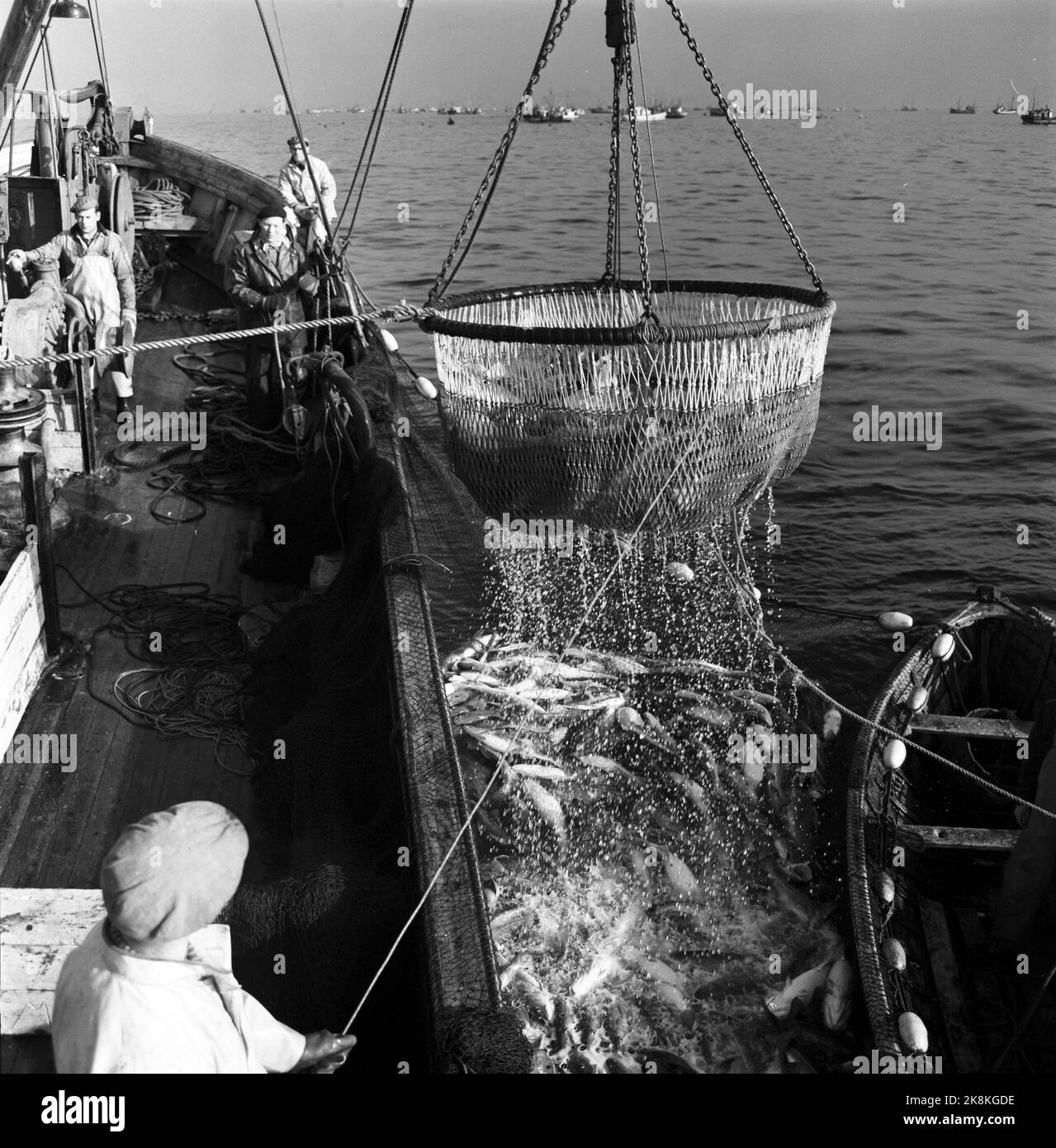 Lofoten 1958. Fishing outside Svolvær. Drugpenot. Winch. HIV. Light ...