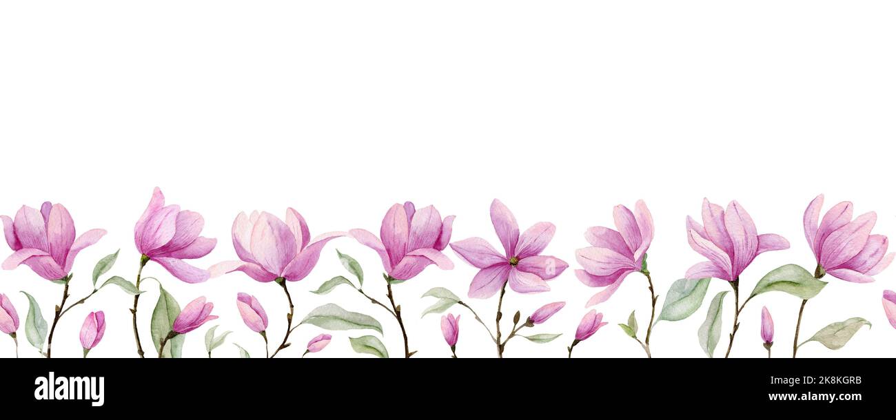 Floral Border with pink Magnolia Flowers. Flower Seamless line. Hand ...
