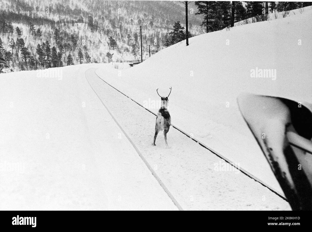 Train conductors driving train hi-res stock photography and images - Alamy