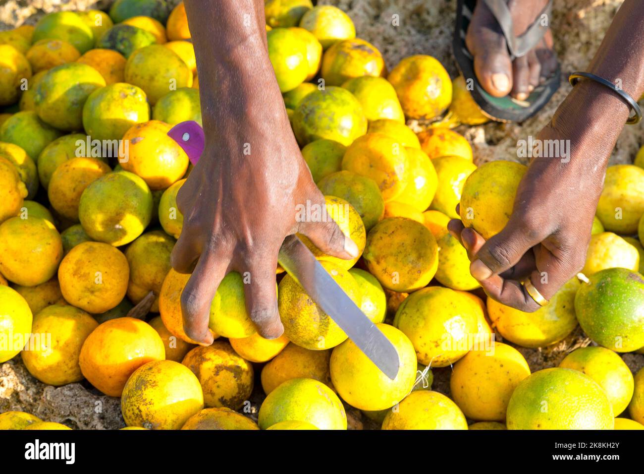 Assortment of tropical fruits for sale on road shop, Zanzibar, Tanzania ...