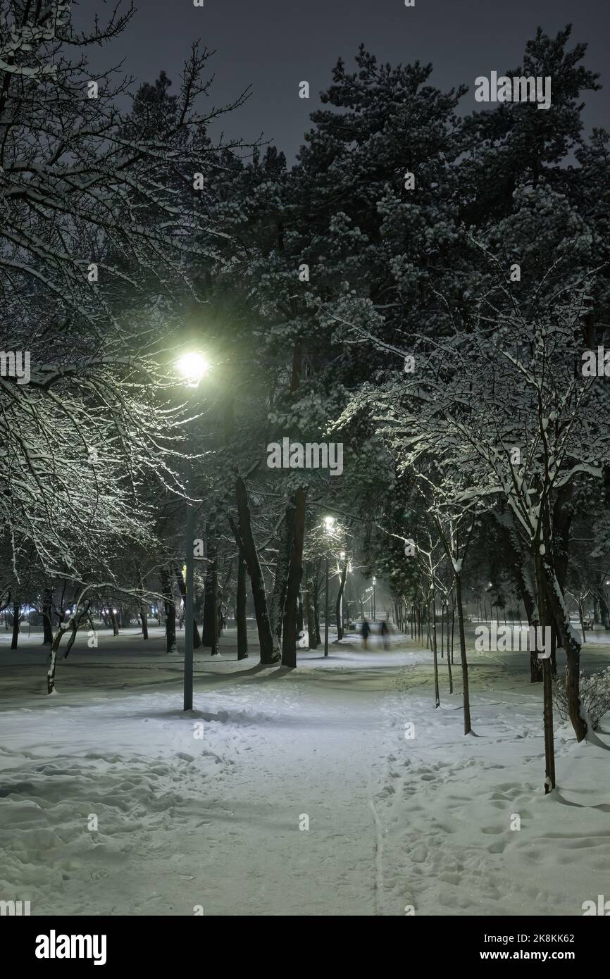 Winter alley in park and shining lanterns. Night shot Stock Photo - Alamy