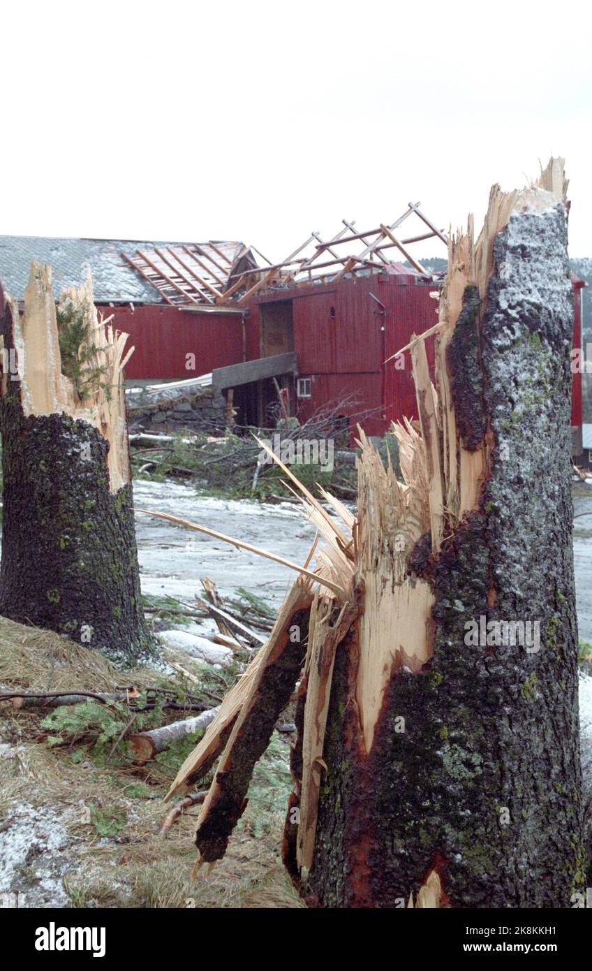 Bjorn sigurdson ntb ntb farm storm trees hi-res stock photography and ...