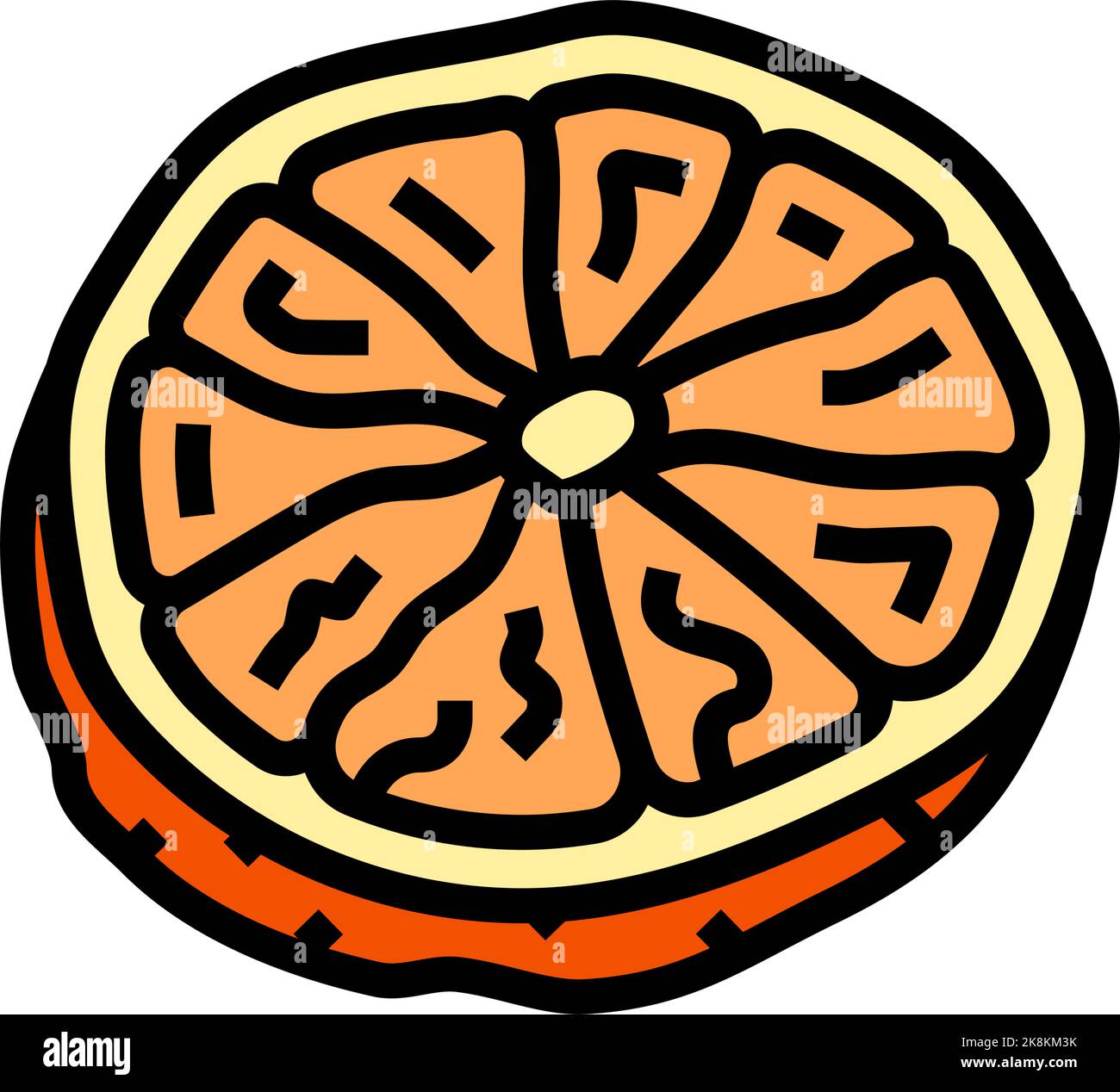 orange dried fruit color icon vector illustration Stock Vector Image ...