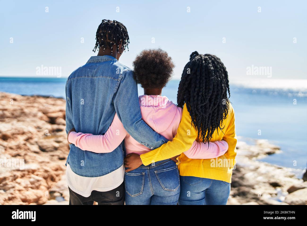 African american friends hugging each other on back view at seaside ...