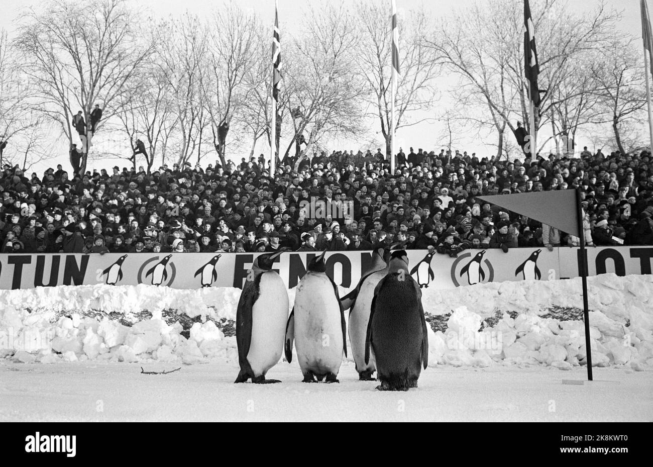 Jotun Black and White Stock Photos & Images - Alamy