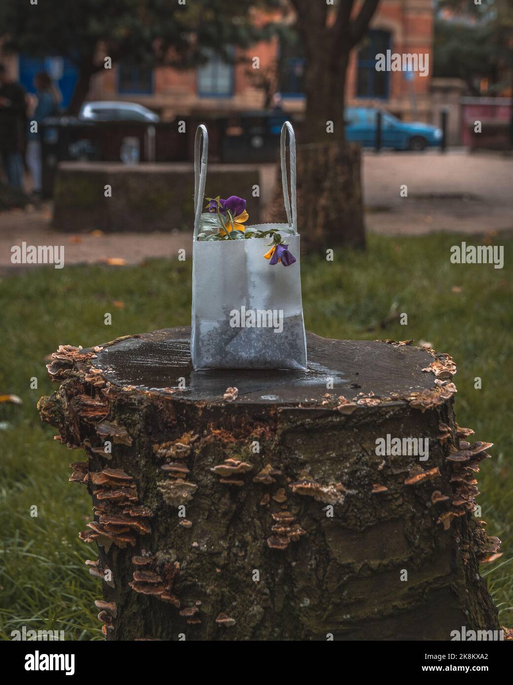 Wet paper hi-res stock photography and images - Alamy