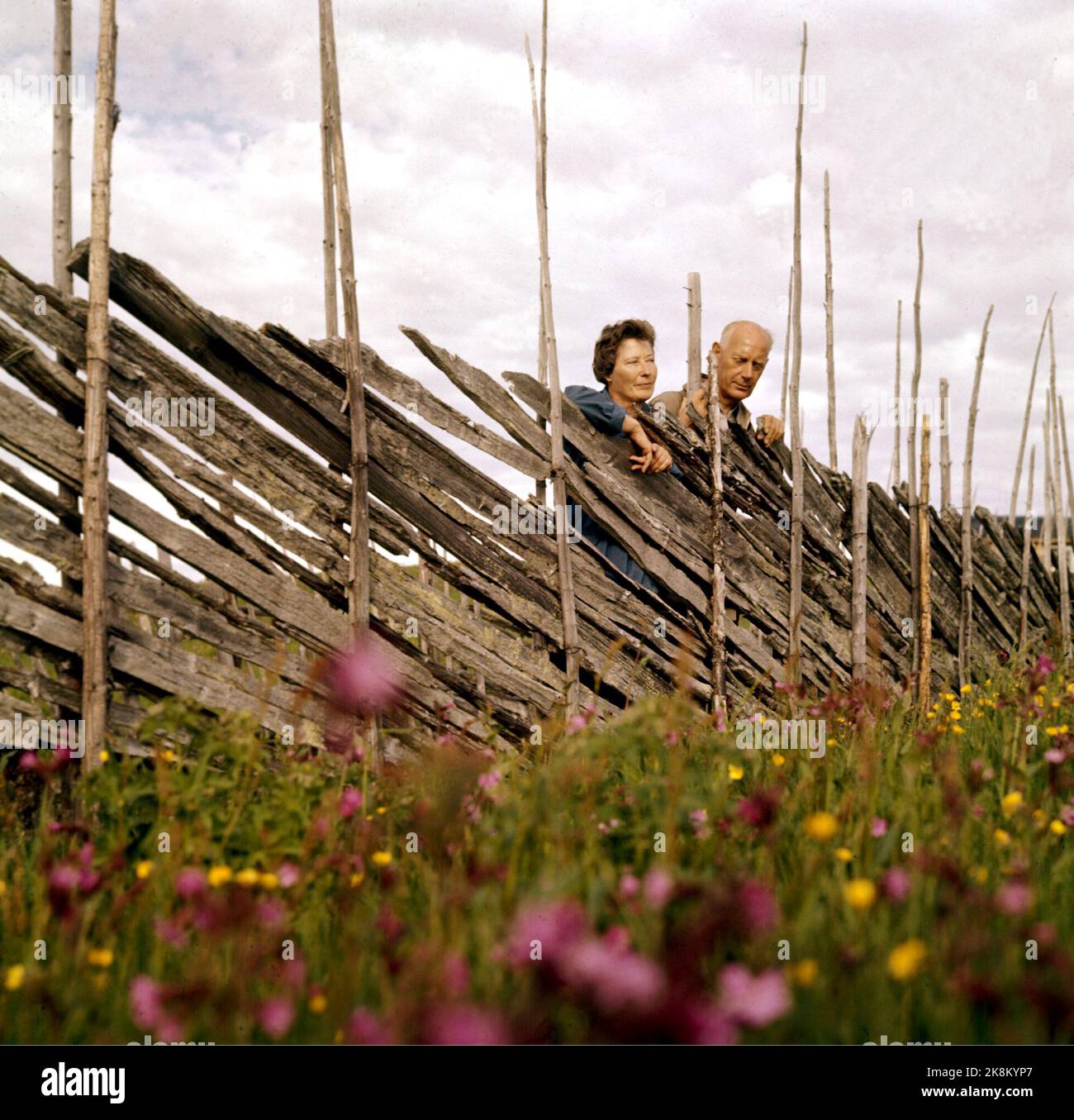 Werna gerhardsen photo hi-res stock photography and images - Alamy