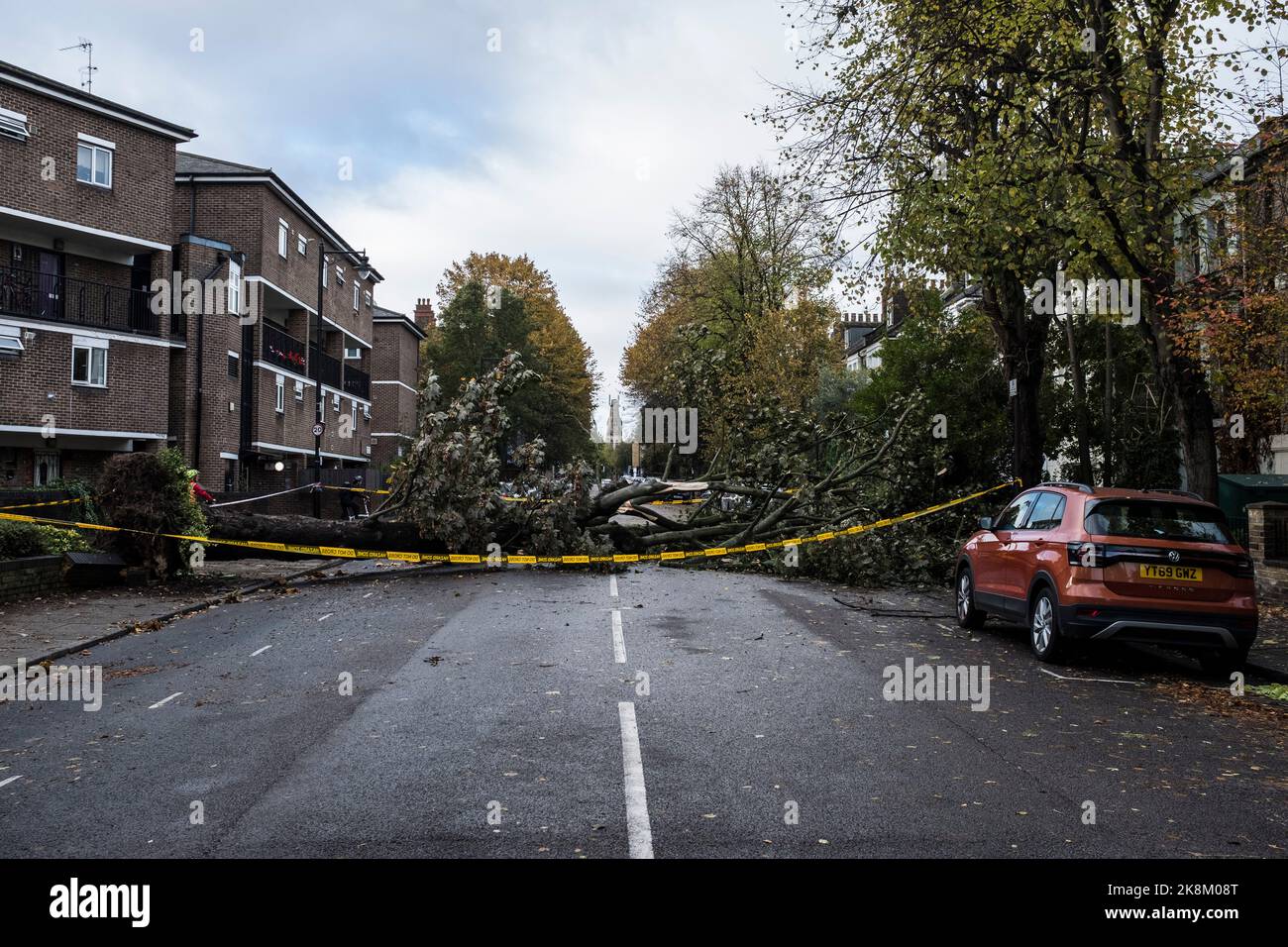 trees falling in Islington, london Stock Photo - Alamy